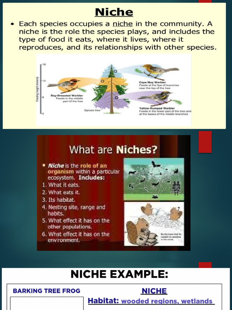 Topic 5-Lesson 1 | PDF