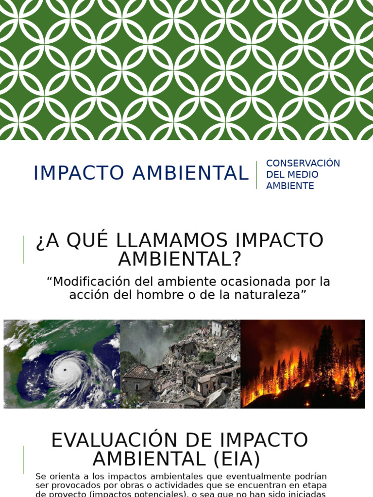 Impacto Ambiental | PDF
