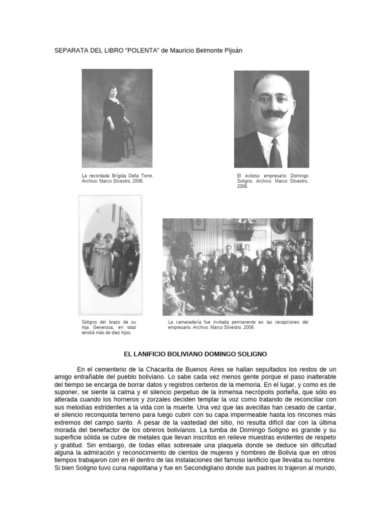 El Lanificio Boliviano Domingo Soligno | PDF | Bolivia | Textiles