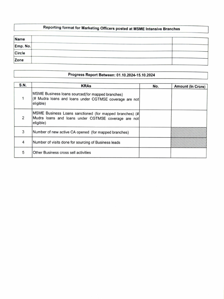 Reporting Format MSME Intensive Branch | PDF