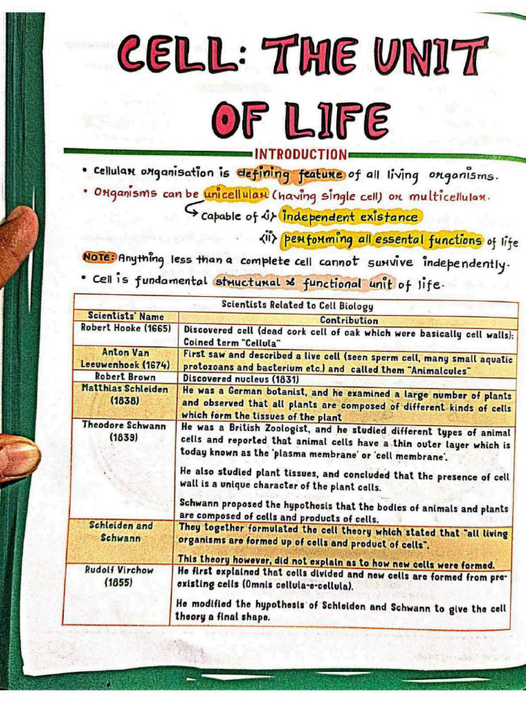 PDF Converter 202502203604 | PDF