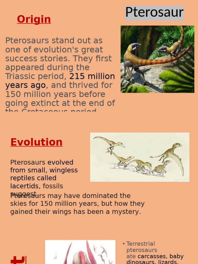 The Big Lizards | PDF