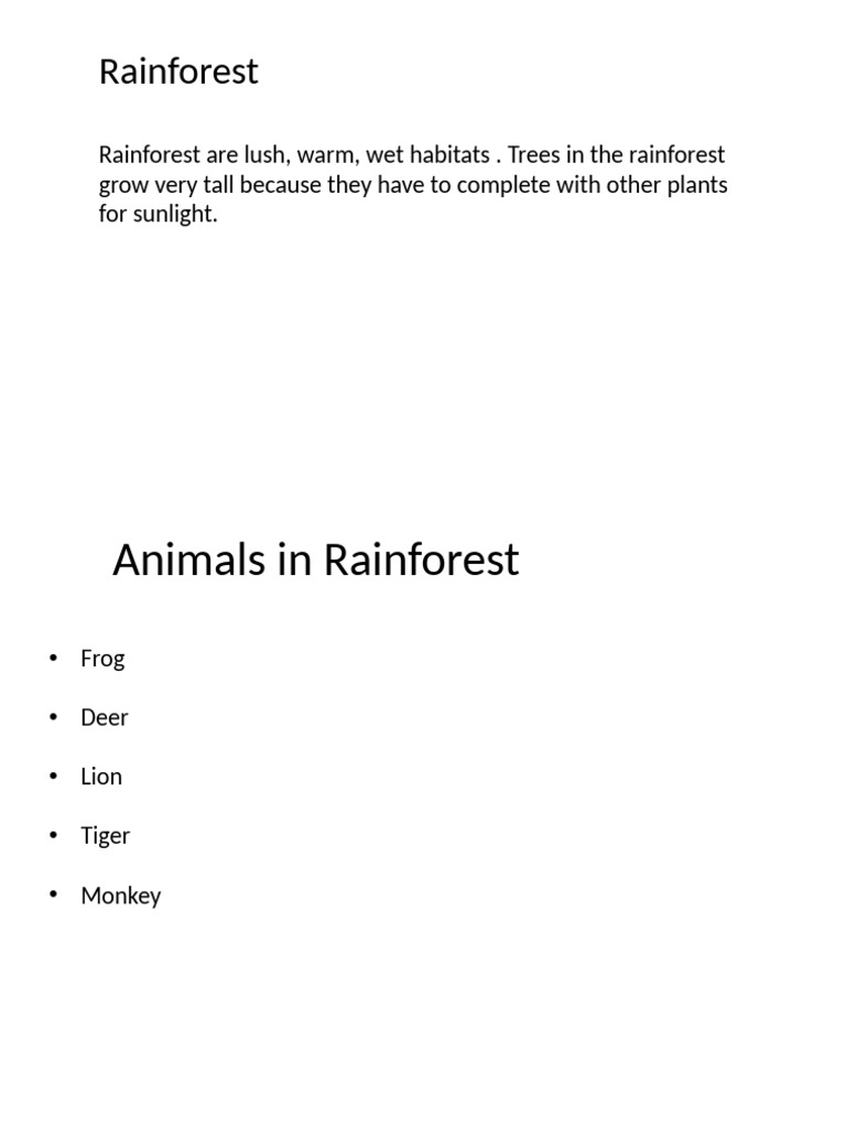 Rainforest | PDF