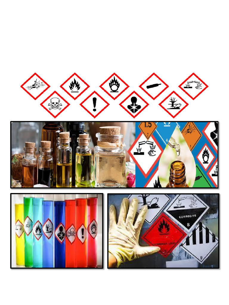 Chemical Safety Pictograms Guide | PDF | Dangerous Goods | Toxicity