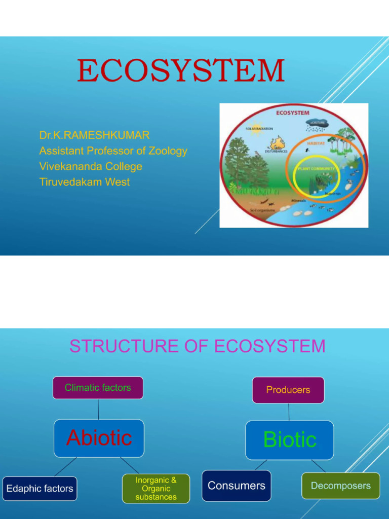 Environmental Dynamics | PDF