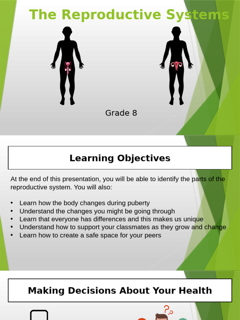 Female Reproductive System | PDF | Reproductive System | Menstrual Cycle