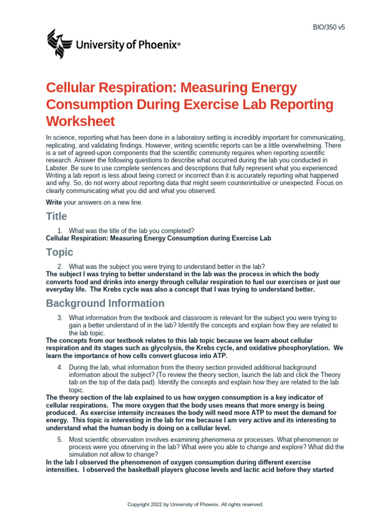 Cellular Respiration Lab Report | PDF