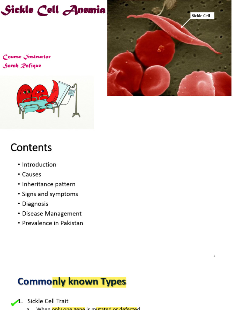 Sickle Cell Anemia | PDF | Vertebrates | Tissue (Biology)