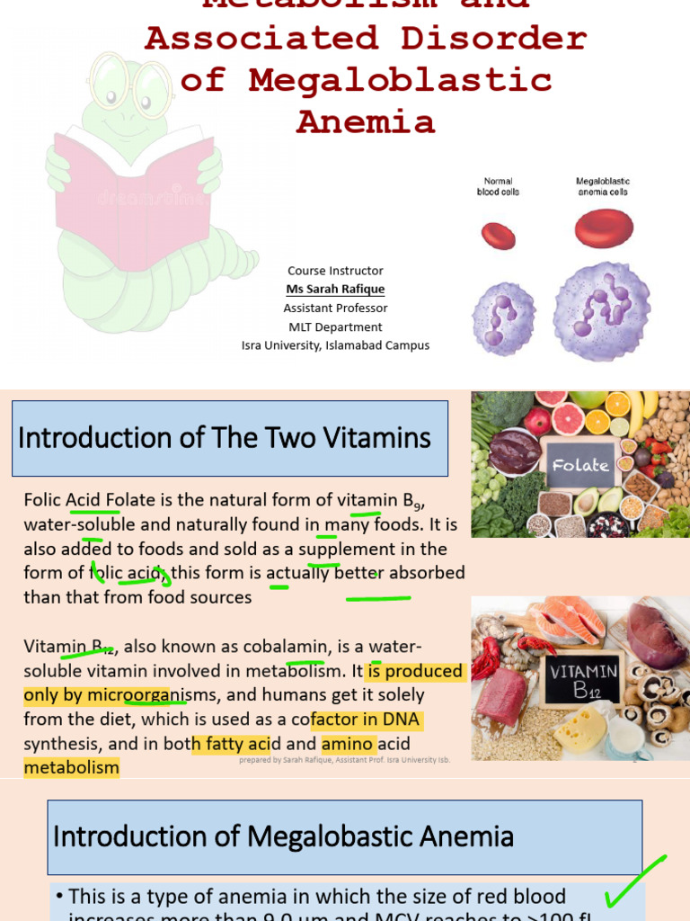 Folate & Megalobastic Anemia | PDF | Vitamin B12 | Anemia