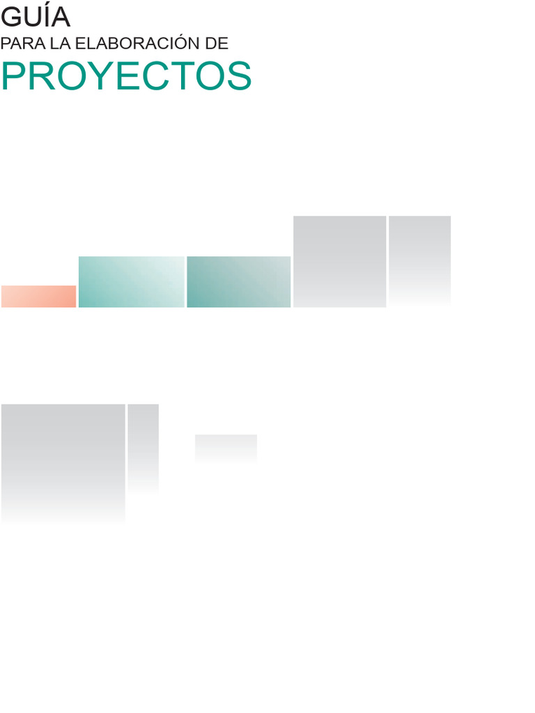 Guia Elaboracion Proyectos C | PDF | Planificación | Presupuesto