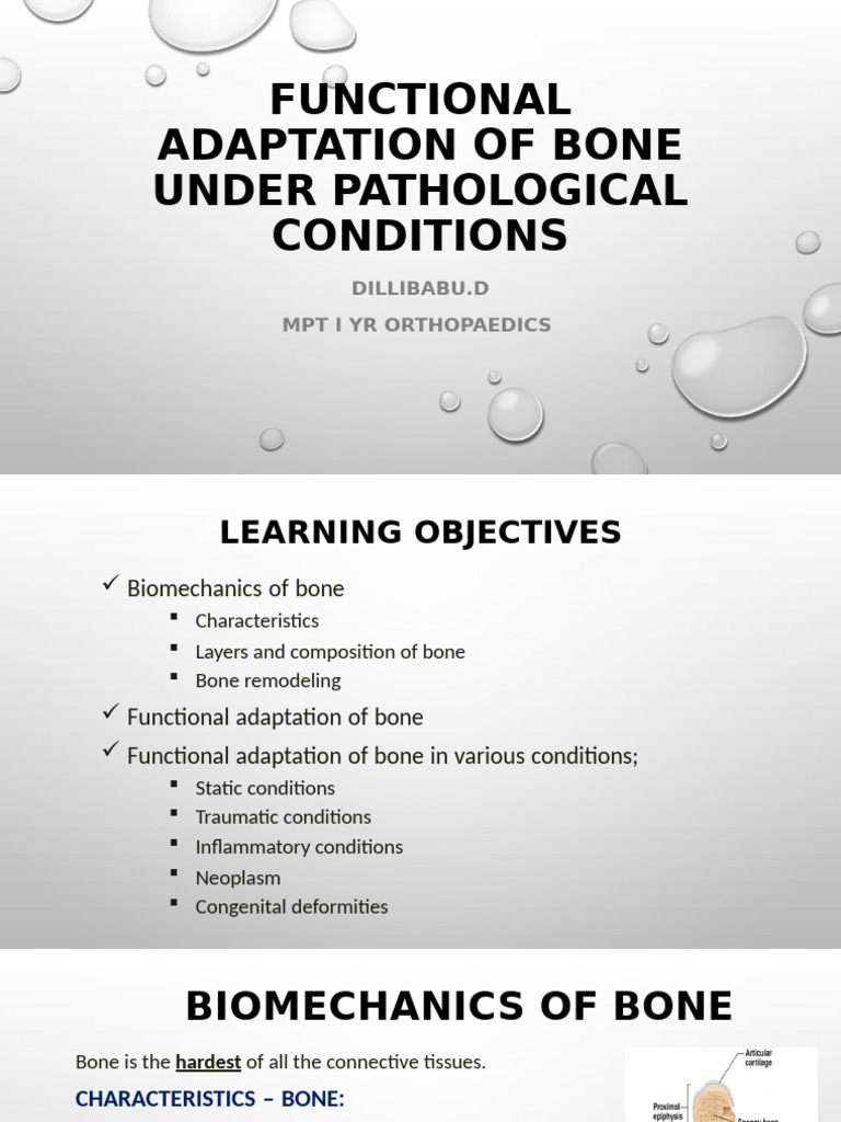 'Functional Adaptation of Bone Under Pathological Conditions | PDF ...