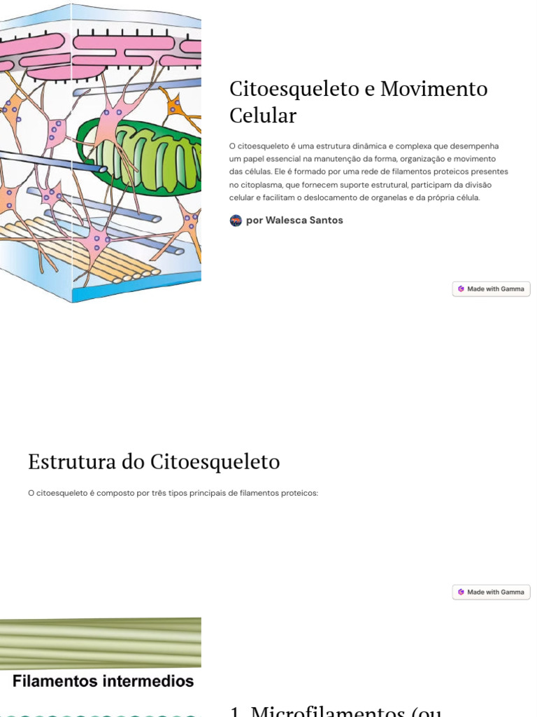 Movimento Ameboide e Citoesqueleto | PDF | Célula (Biologia ...