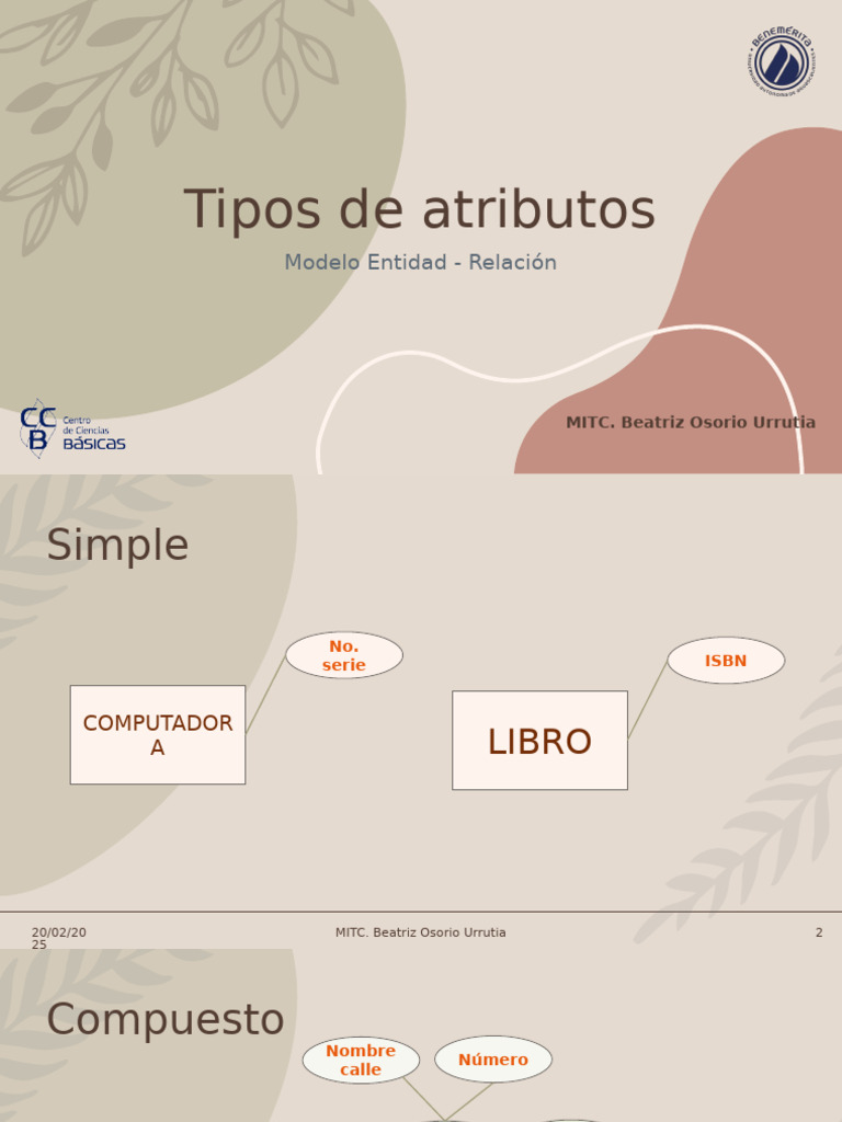 Tipos de Atributos | PDF