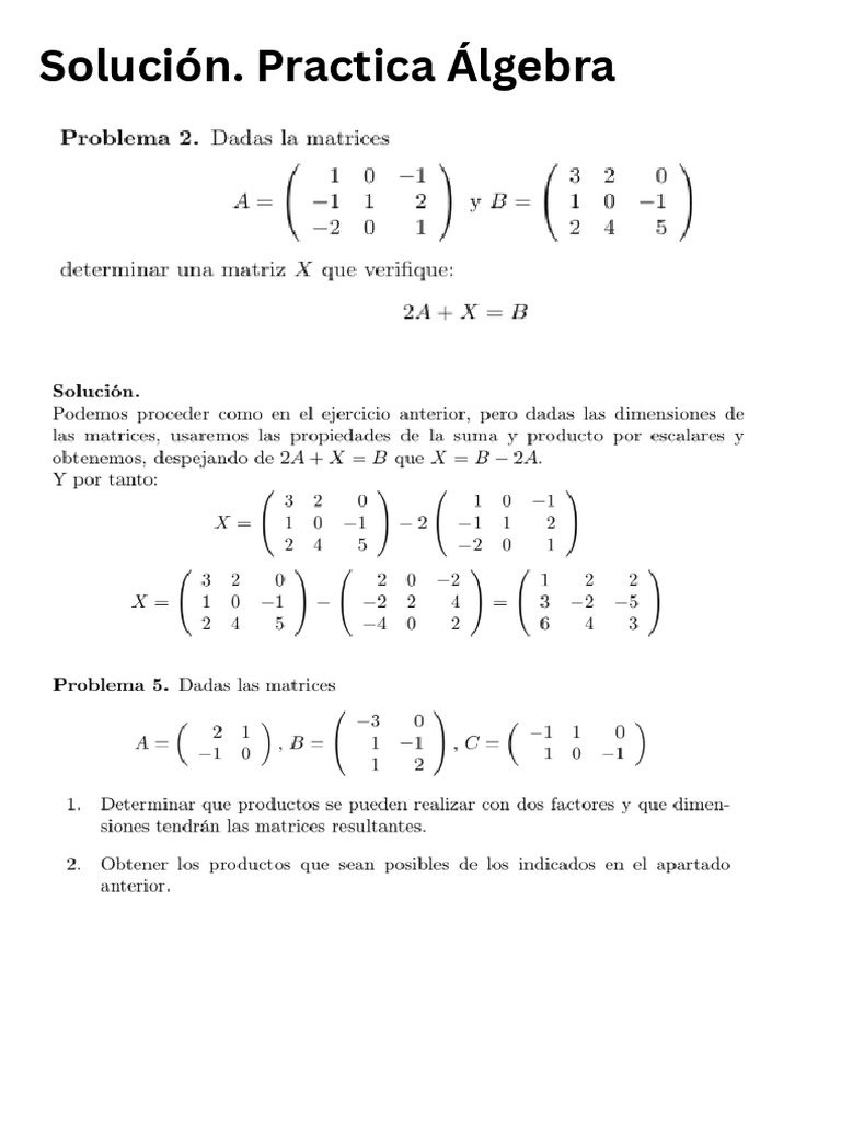 Solución. Practica Álgebra | PDF