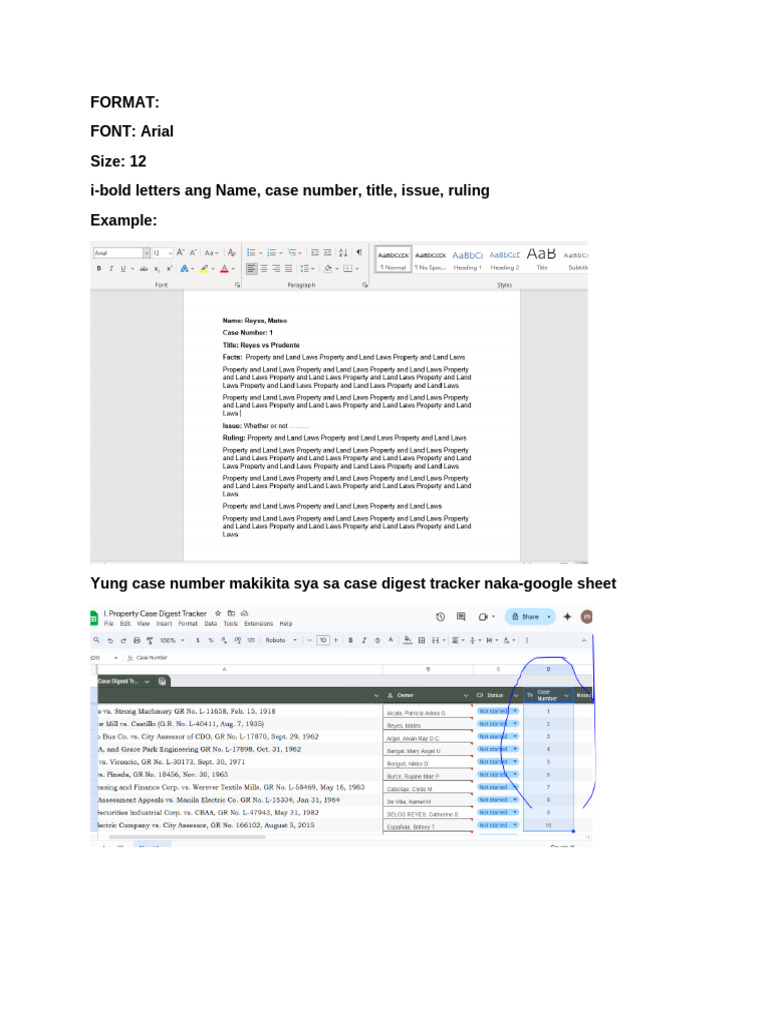 0 - Case Digest Format | PDF