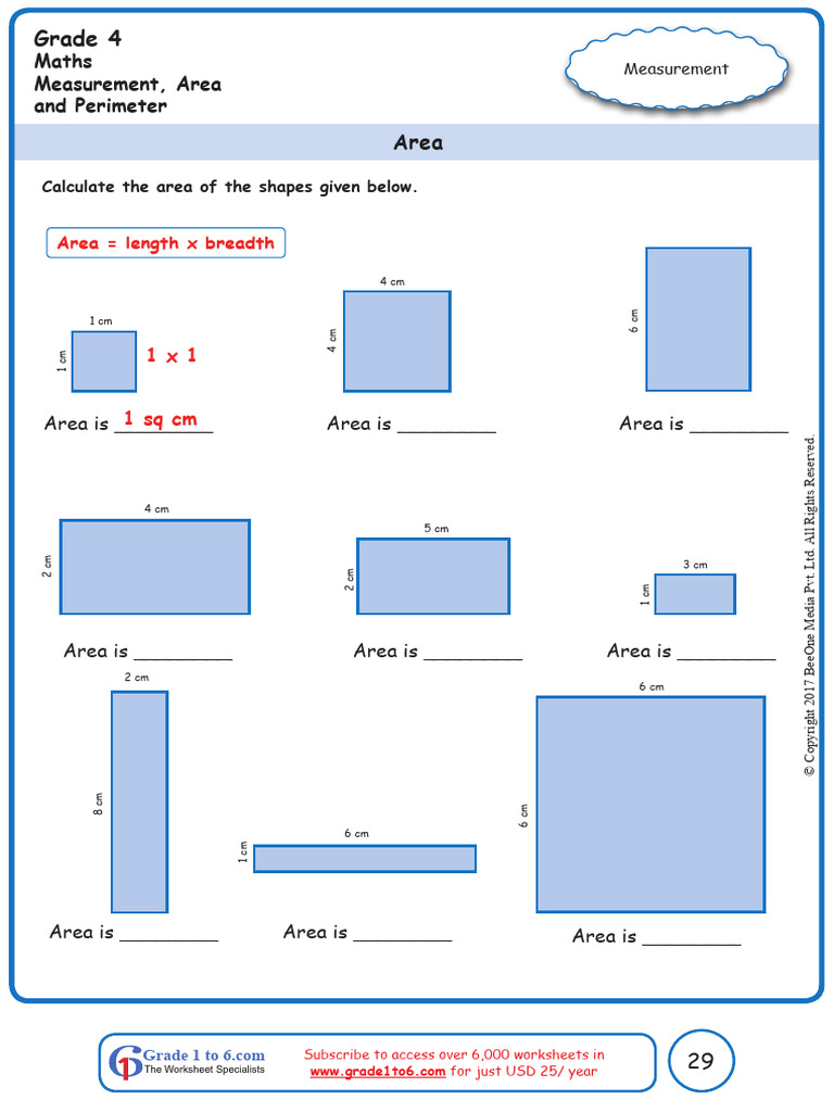 Measuring Area | PDF