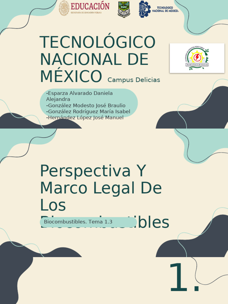 BIOCOMBUSTIBLES - Presentación Tema 1.3 | PDF | Organización de Comercio Mundial | Biocombustible