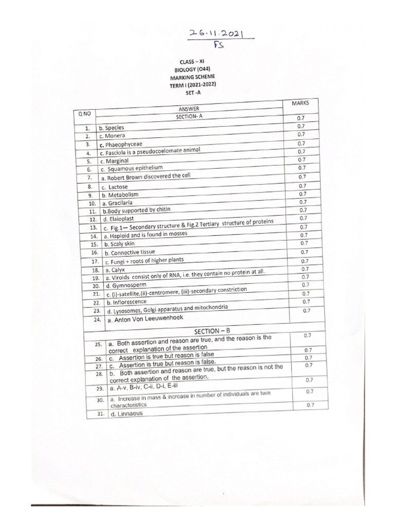 Marking Scheme | PDF