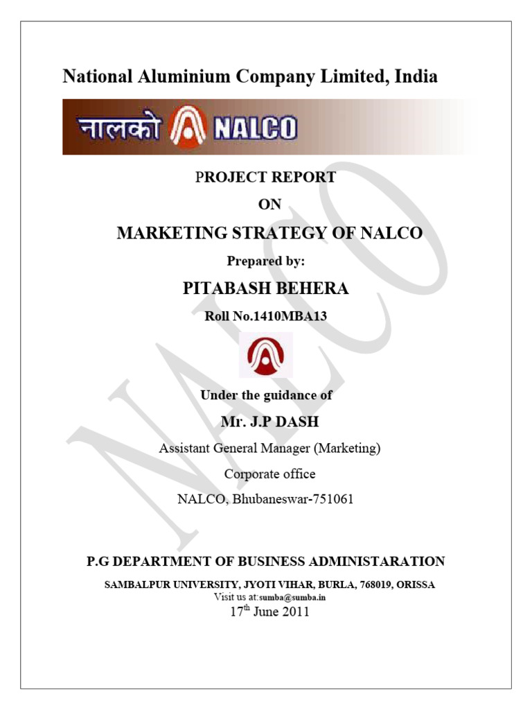 135955850-129999575-Project-Report-on-Marketing-Strategy-of-Nalco-Doc ...