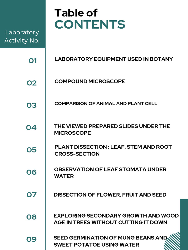 Botany Portfolio - 20241215 - 202548 - 0000 | PDF