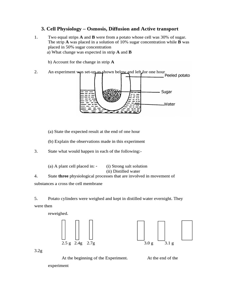 Cell Physiology-Osmosis, Diffusion and Active Transport | PDF | Osmosis ...
