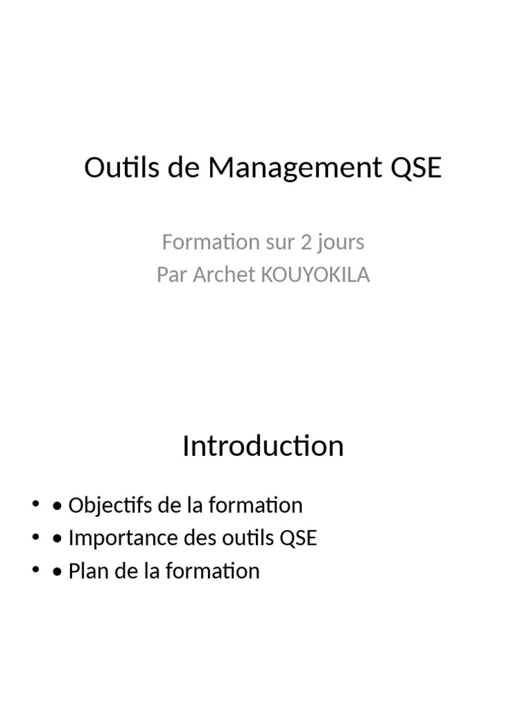 Outils Management QSE | PDF