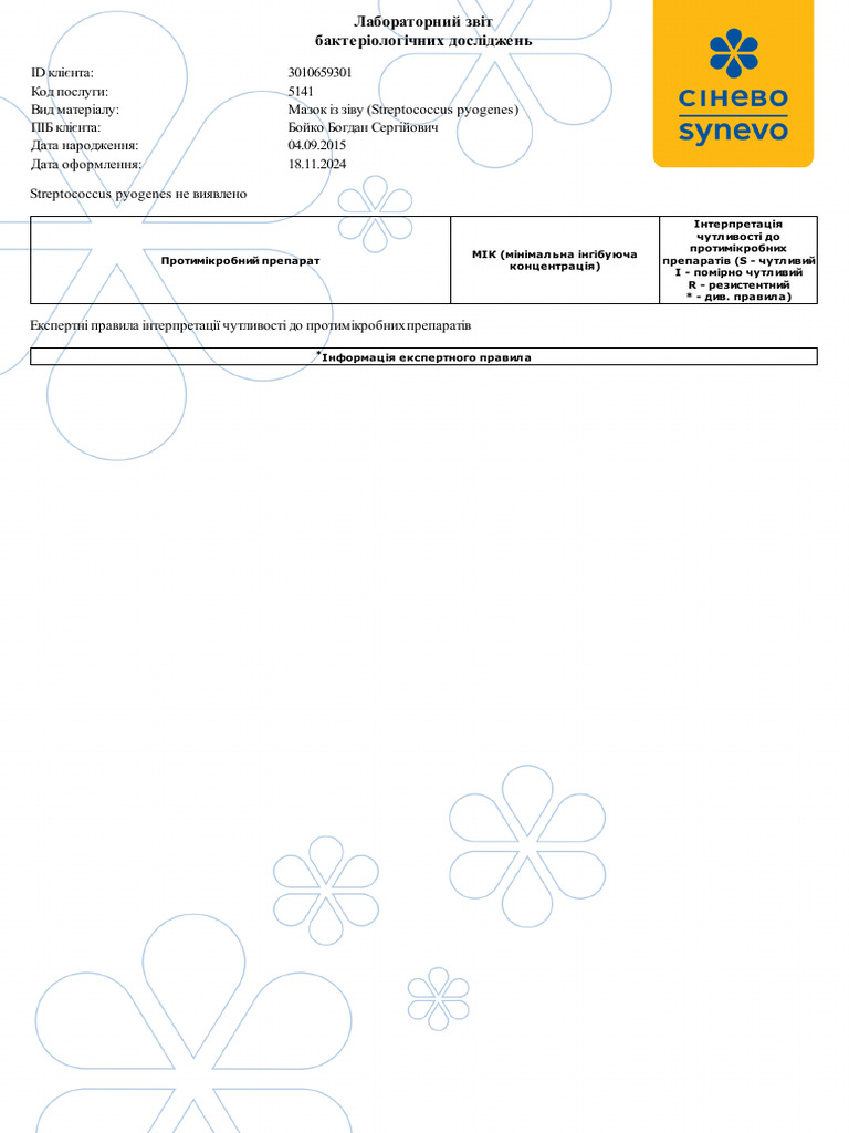 Extra Attachment 3300611404 2 | PDF