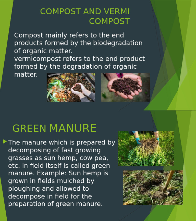 Compost and Vermi Compost | PDF