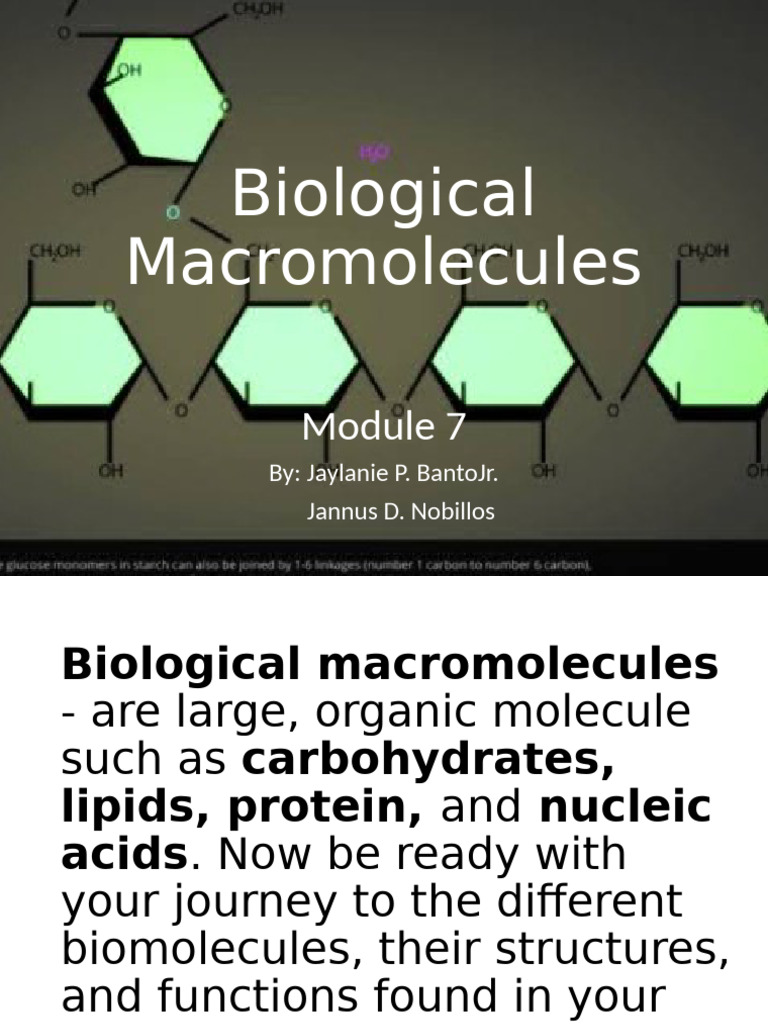 Biological Macromolecules, M7 | PDF | Carbohydrates | Glucose