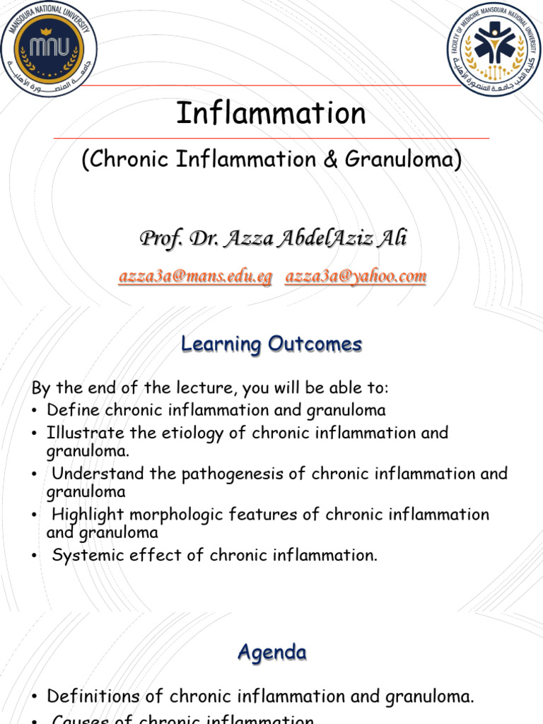Chronic Inflammation and Granuloma Overview | PDF | Inflammation ...