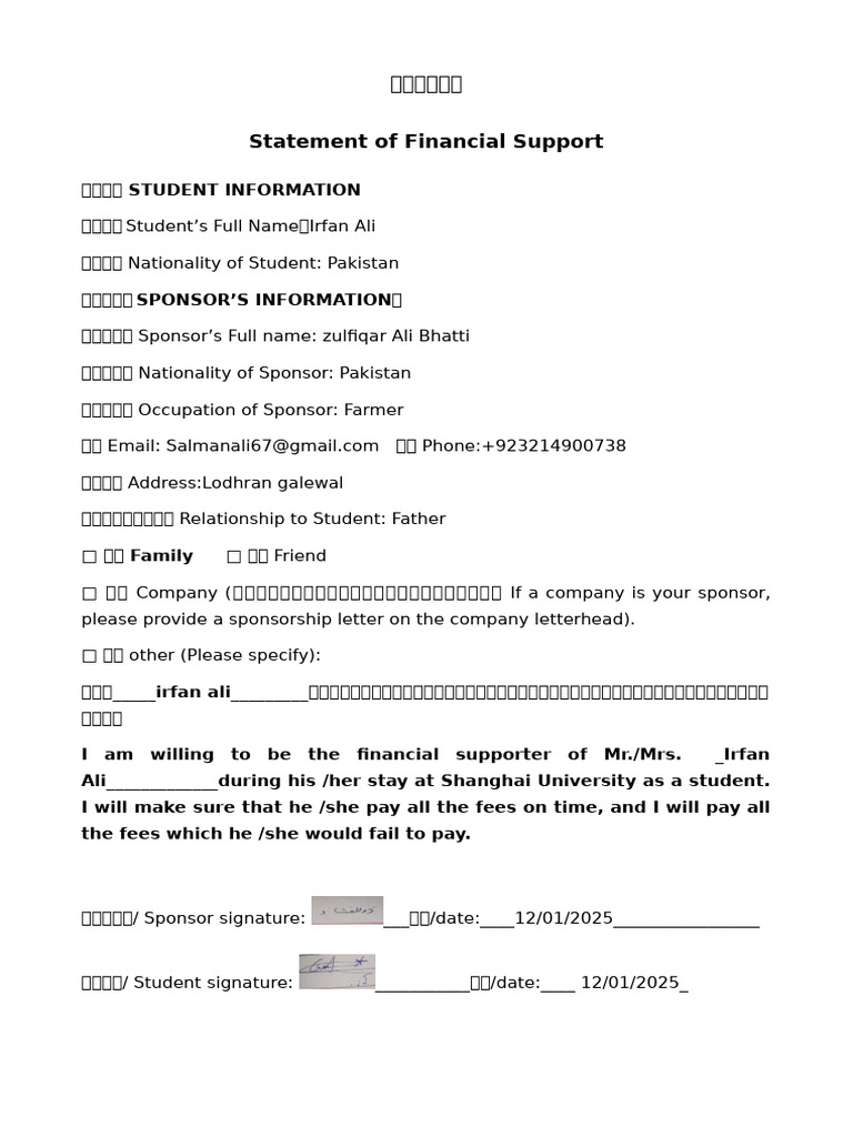 Financial Support Statement for Irfan Ali | PDF