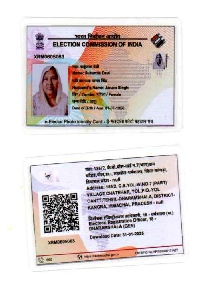 Voter ID | PDF