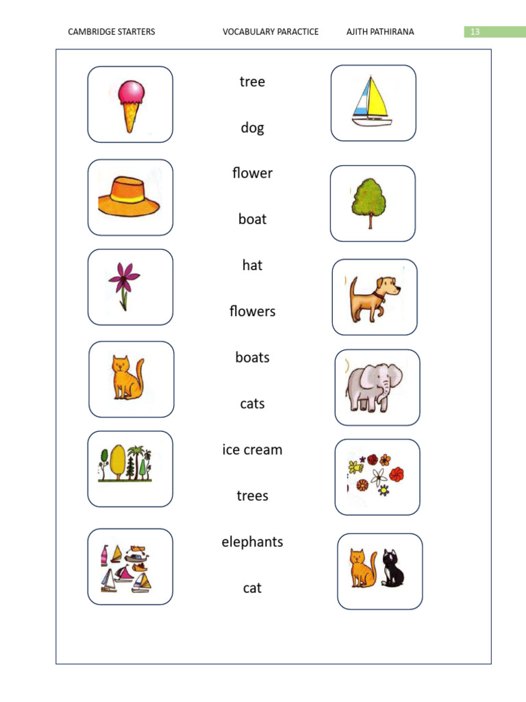 Cambridge Starters Vocab | PDF