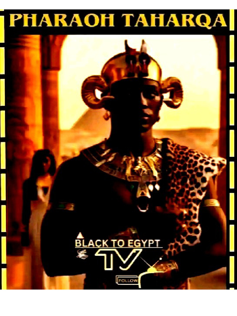 ACE Scanner_2025_02_20 | PDF