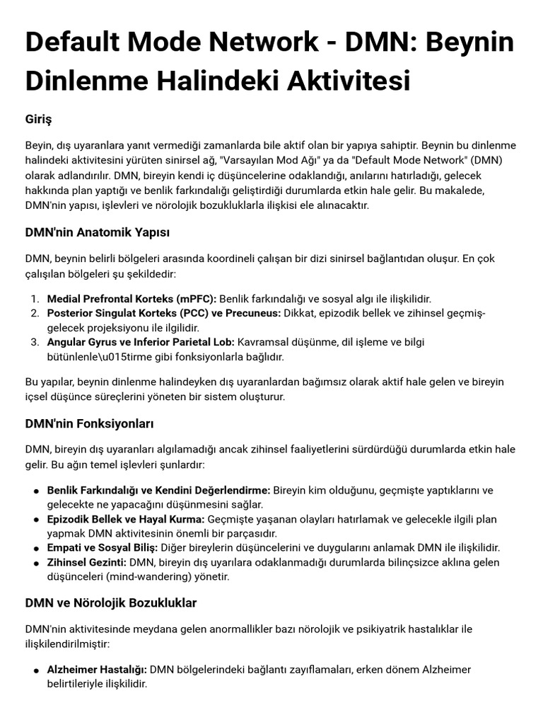 Derin Sinir Ağları (Deep Neural Networks) Temel Kavramlar Ve Kullanım Alanları | PDF