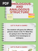 Homology vs. Analogy Worksheet Answers | PDF | Homology (Biology) | Mammals