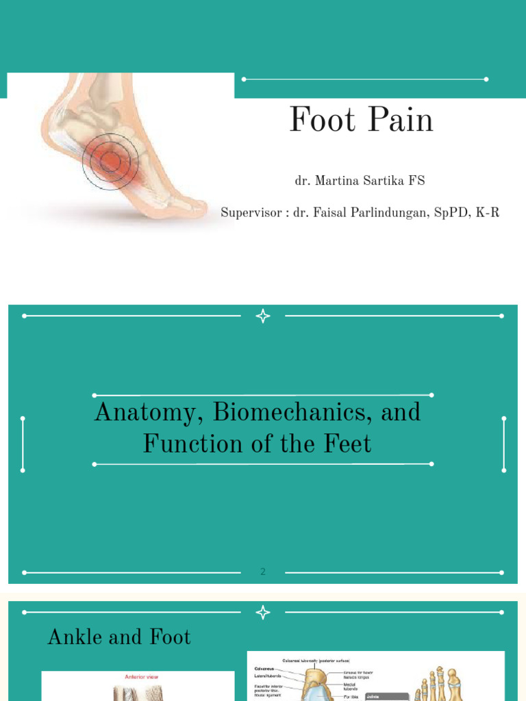 Foot Pain.pptx | PDF | Foot | Ankle
