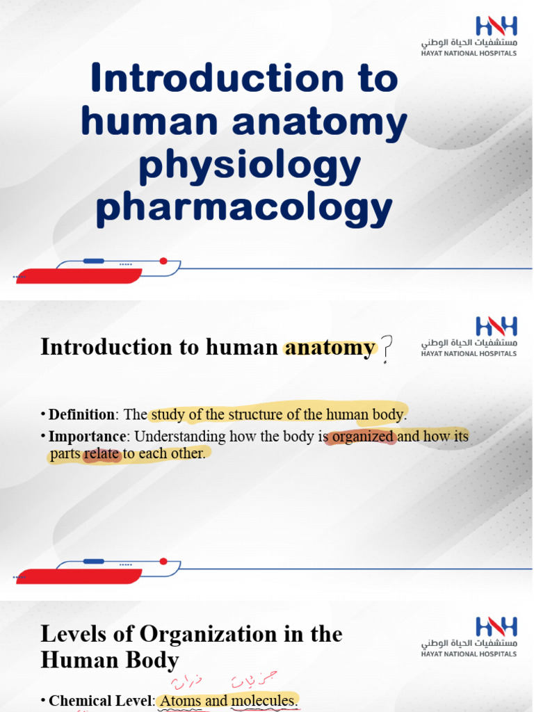 Anatomy and Pharmacology Overview | PDF