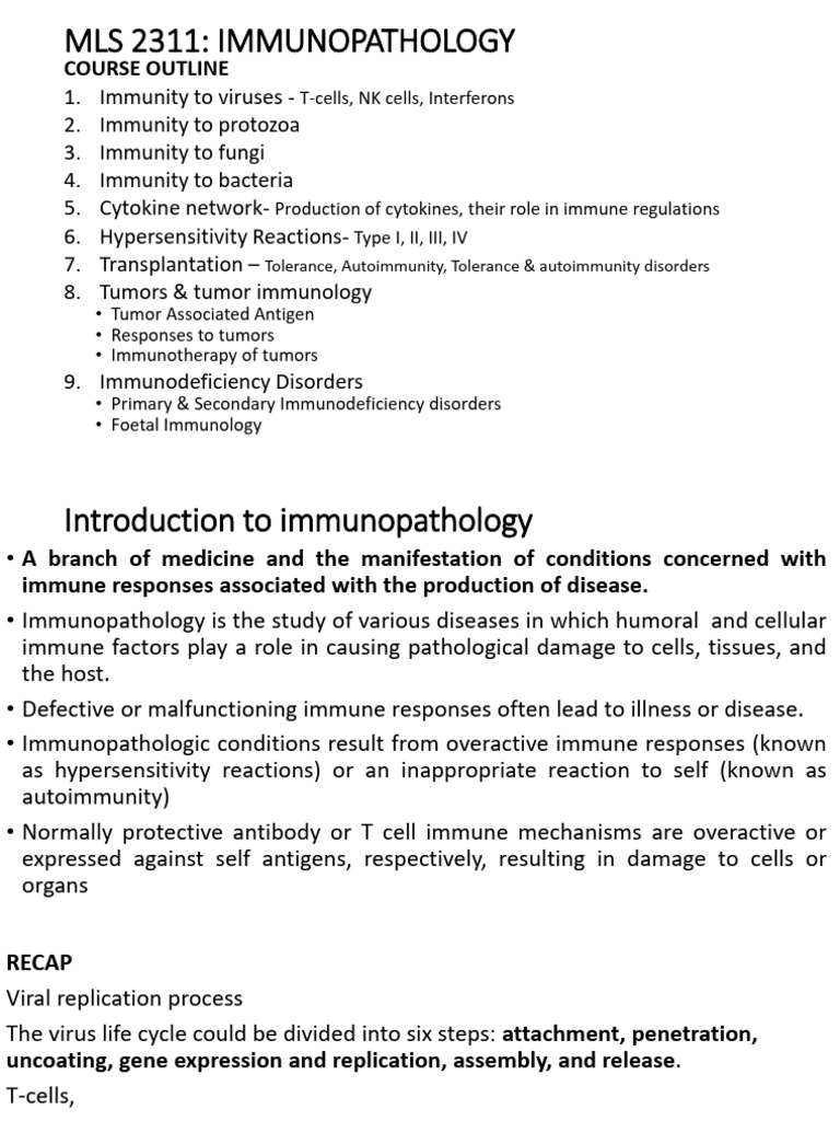 IMMUNOPATHOLOGY.pptx | PDF | Immune System | Interferon