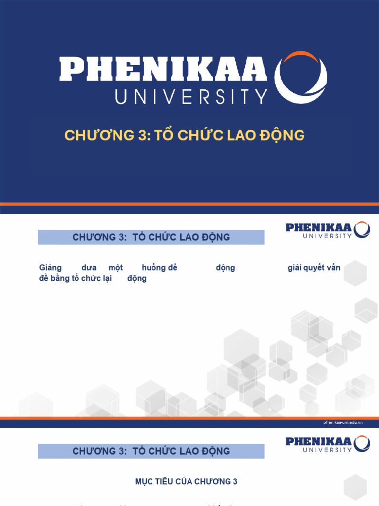 Chương 3 - T CH C Lao Đ NG 12-4-2024 | PDF