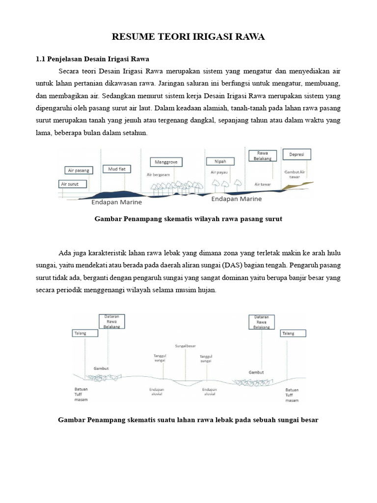 RESUME TEORI IRIGASI RAWA | PDF