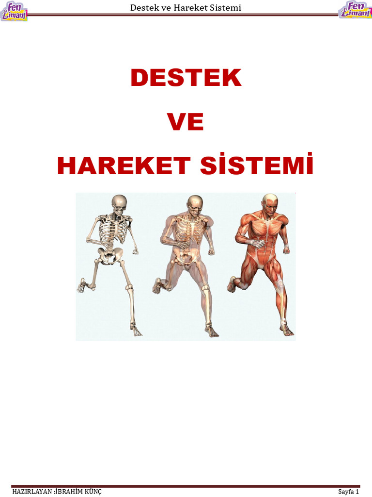 5.sinif 3.unite Destek Ve Hareket Sistemi | PDF