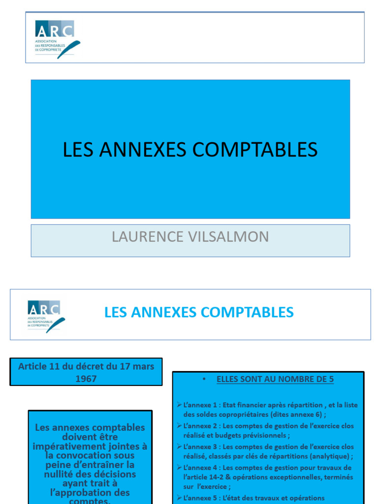 Annexes Comptables en Copropriété | PDF | Banques | Débiteur