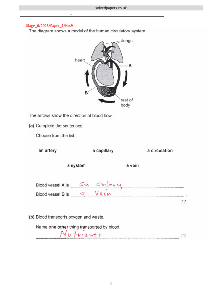 2023_22-Human-circulatory-system-checkpoint-primary-biology-progression ...