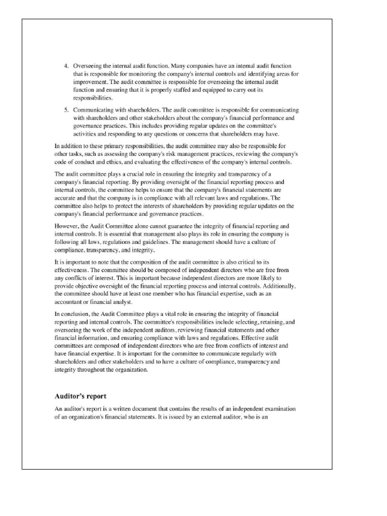 Auditor Report | PDF