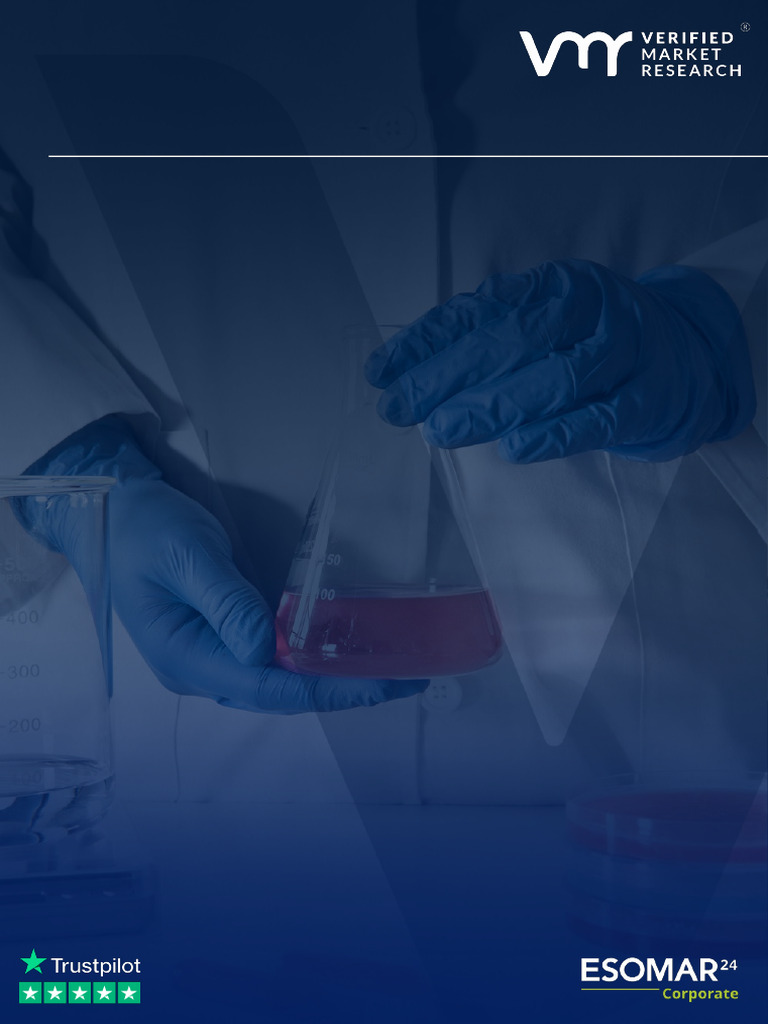 Global Butane Gas Fuel Canister Market Sample Report | PDF | Marketing ...