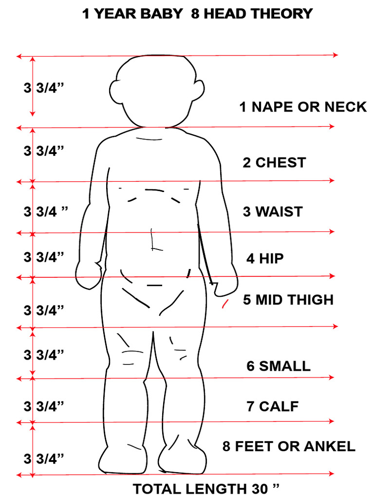 1 Year 8 Head Theory | PDF