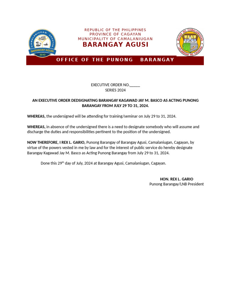 Acting Punong Barangay Designation 2024 | PDF