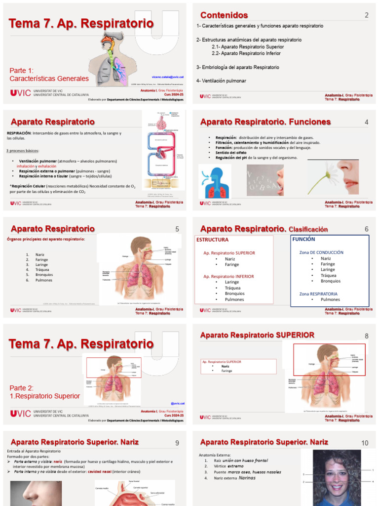 Respi 1 | PDF | Nariz humana | Laringe