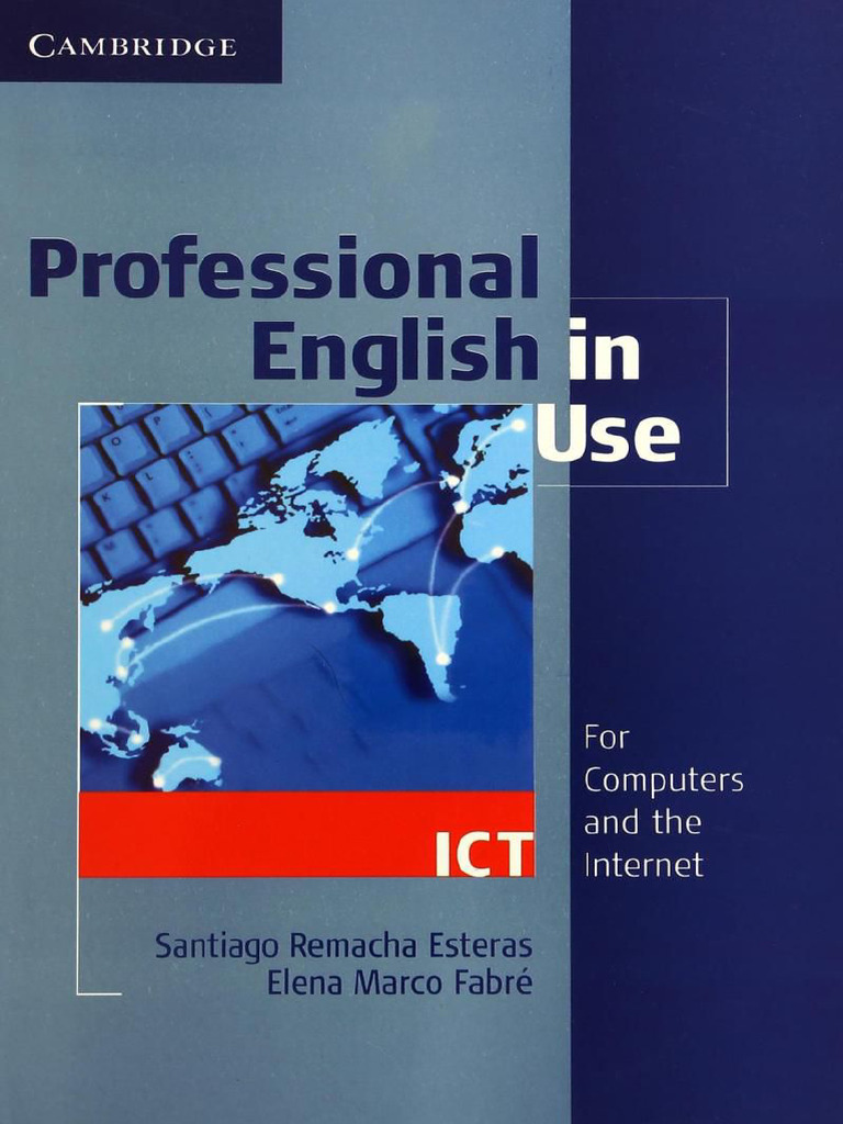 IT Professional Engl | PDF